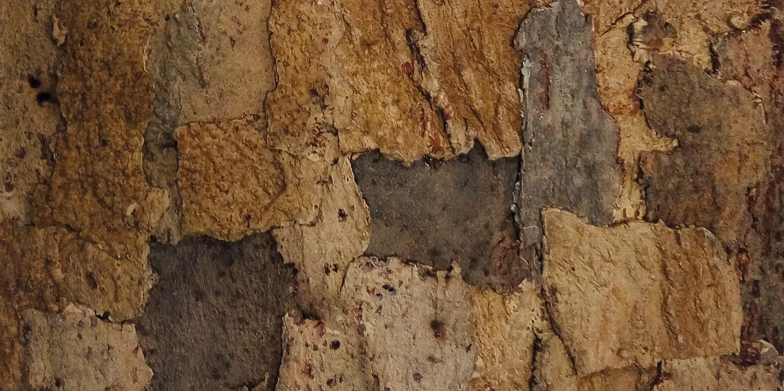 Rusticork | DuroDesign